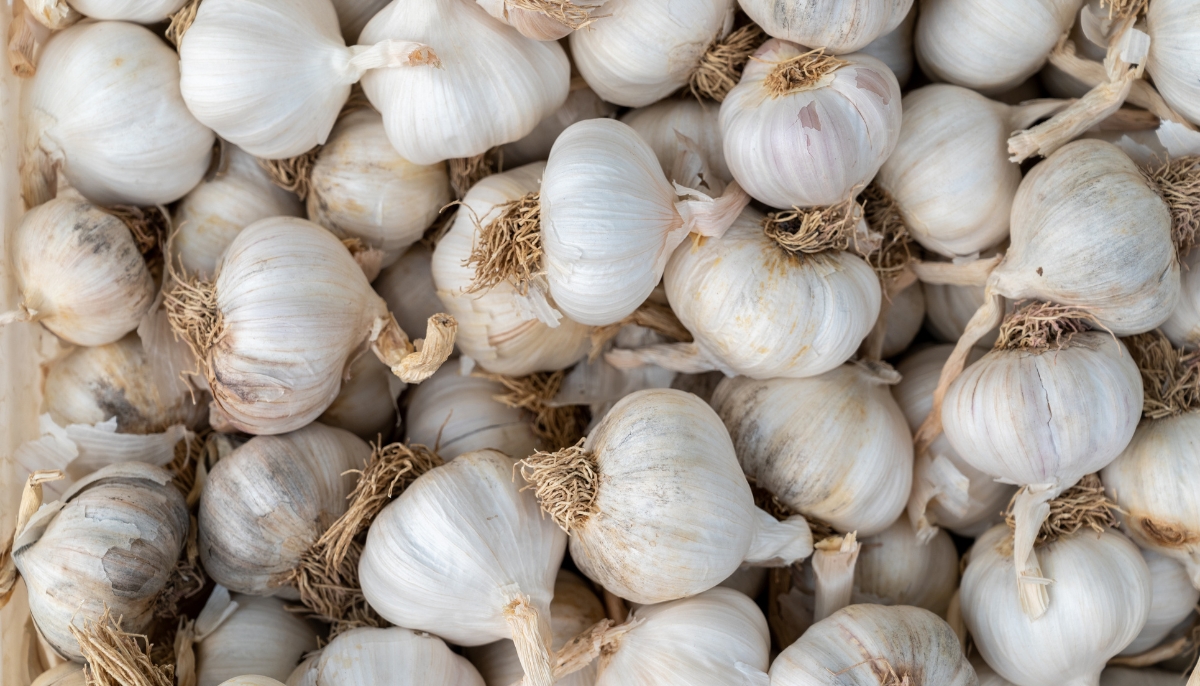 Garlic Goodness: 10 Surprising Recipes to Delight Your Palate ...