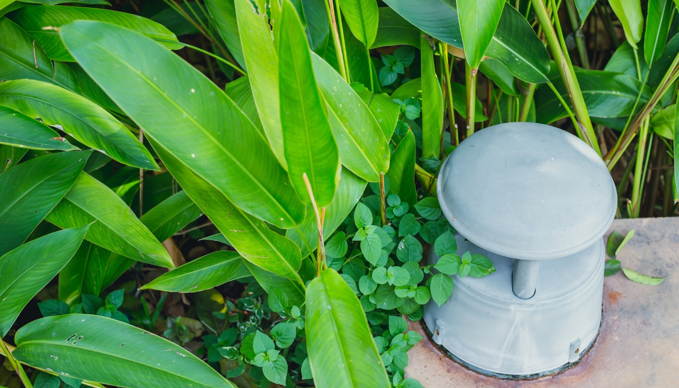Rock Your Outdoor Adventures: How to Create the Ultimate Speaker ...