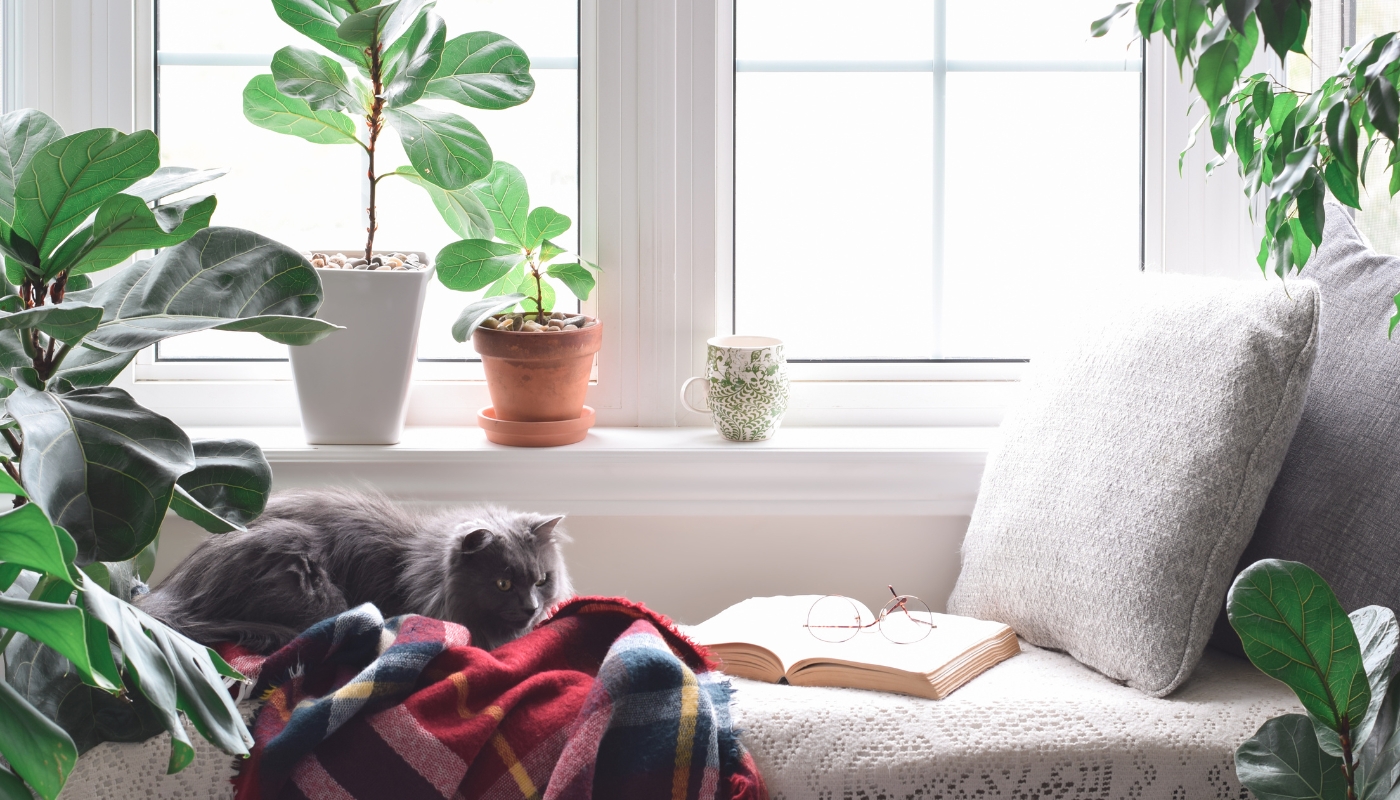 7 Steps to Create the Perfect Reading Nook in Your Home | Karvonen’s