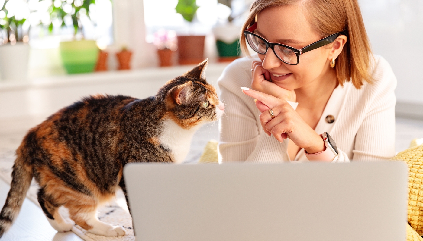 Work from Home Wonder: How to Create Your Perfect Home Office! | Van's ...