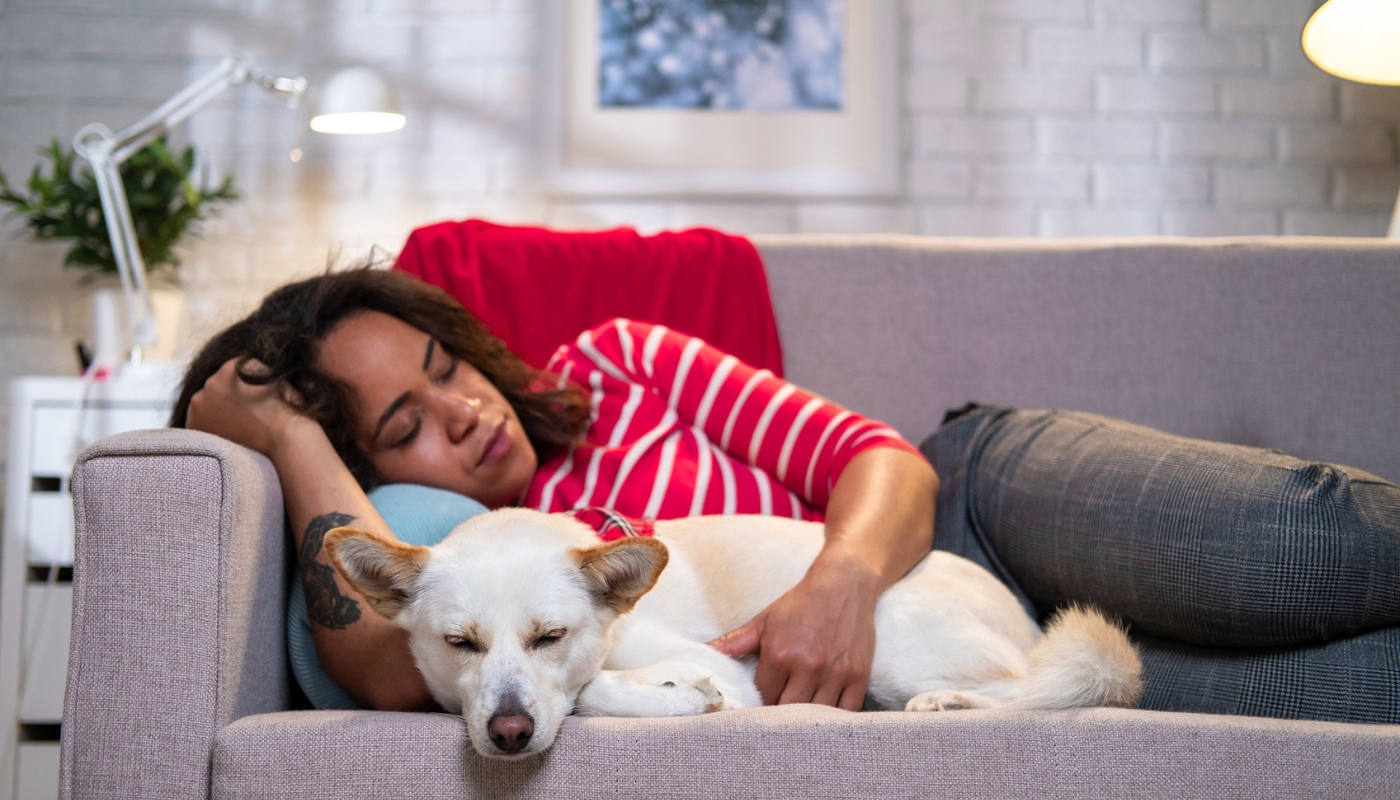 The Ultimate Guide to How to Take the Perfect Nap! | Appliance Center ...